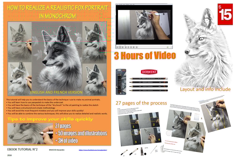 HOW TO REALIZE A REALISTIC FOX PORTRAIT