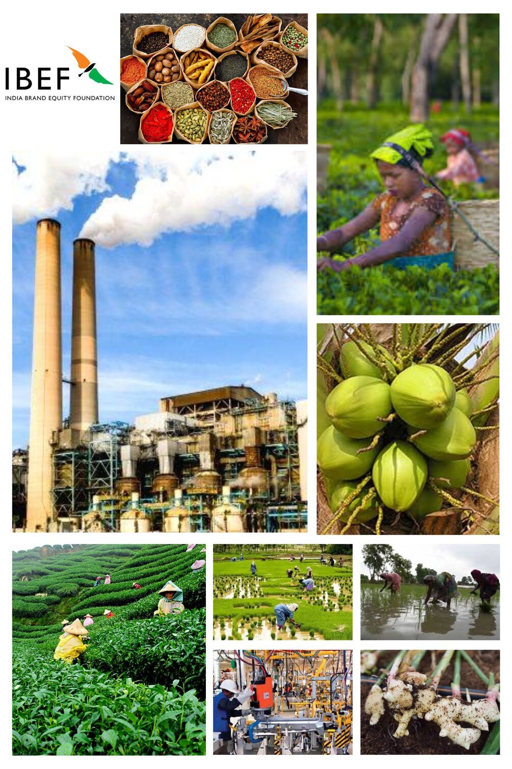Kerala’s Booming GDP: Top Sectors Shaping the Future!