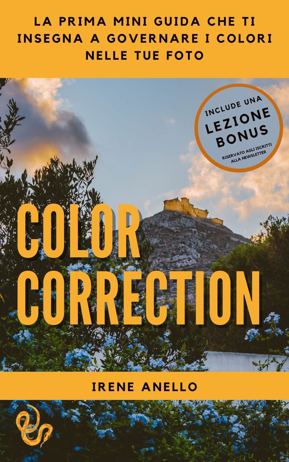 Guida Color Correction