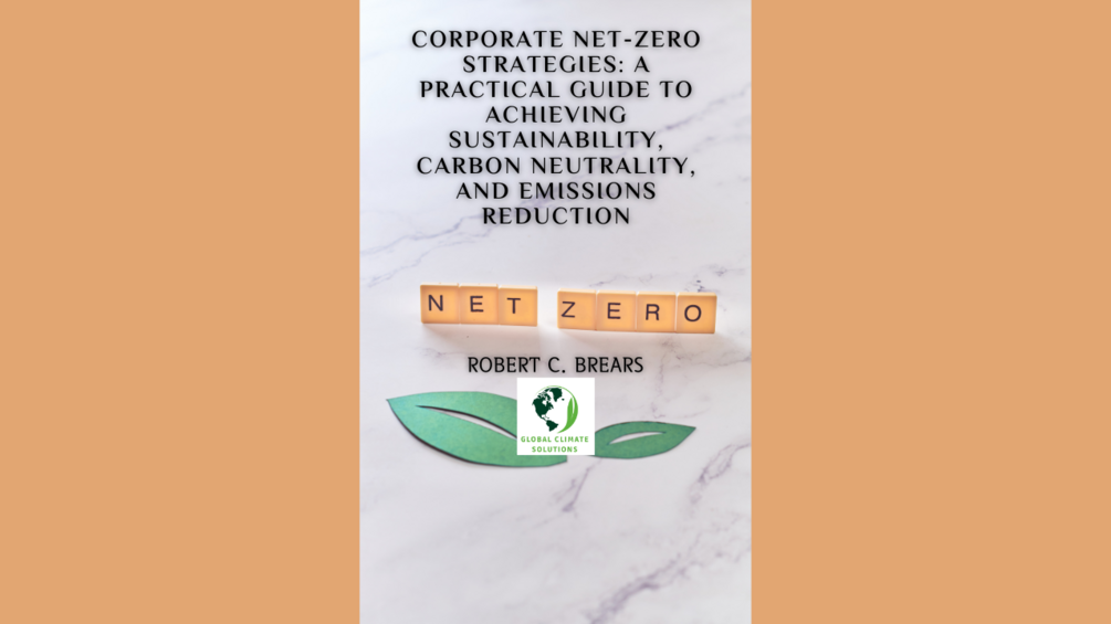 Corporate Net-Zero Strategies: A Practical Guide to Achieving ...