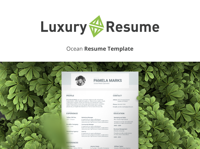Ocean Resume Template