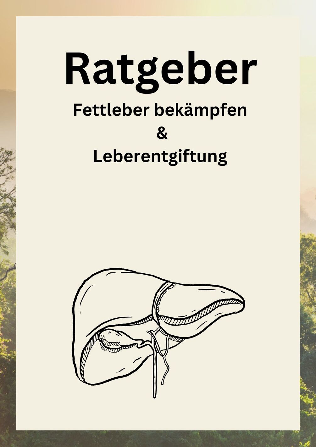 Ratgeber: Fettleber