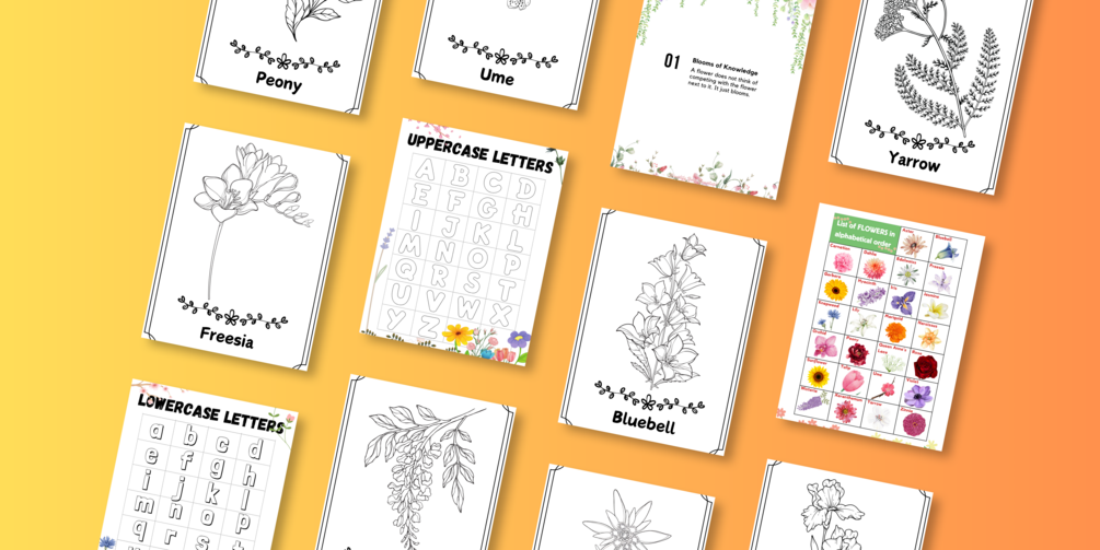 Let’s Colour Flower by Alphabetical Order - Colouring Sheet/Book