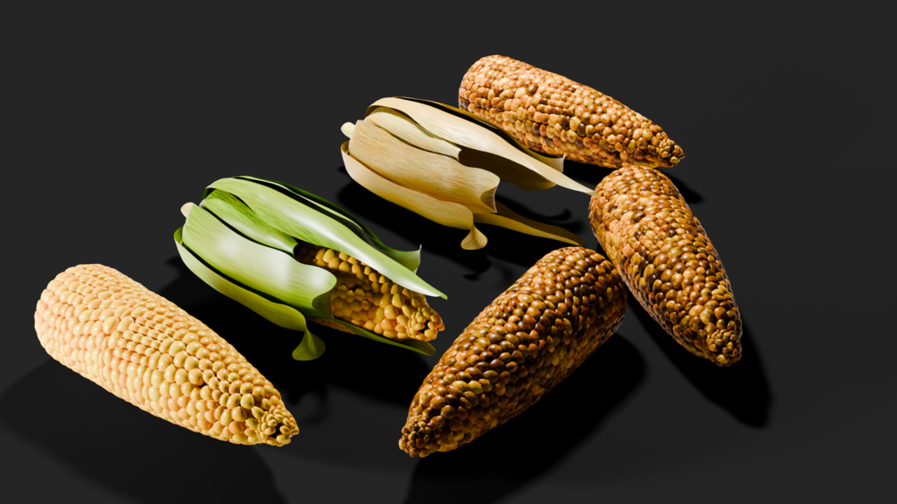 Realistic roasted Corn maize pbr