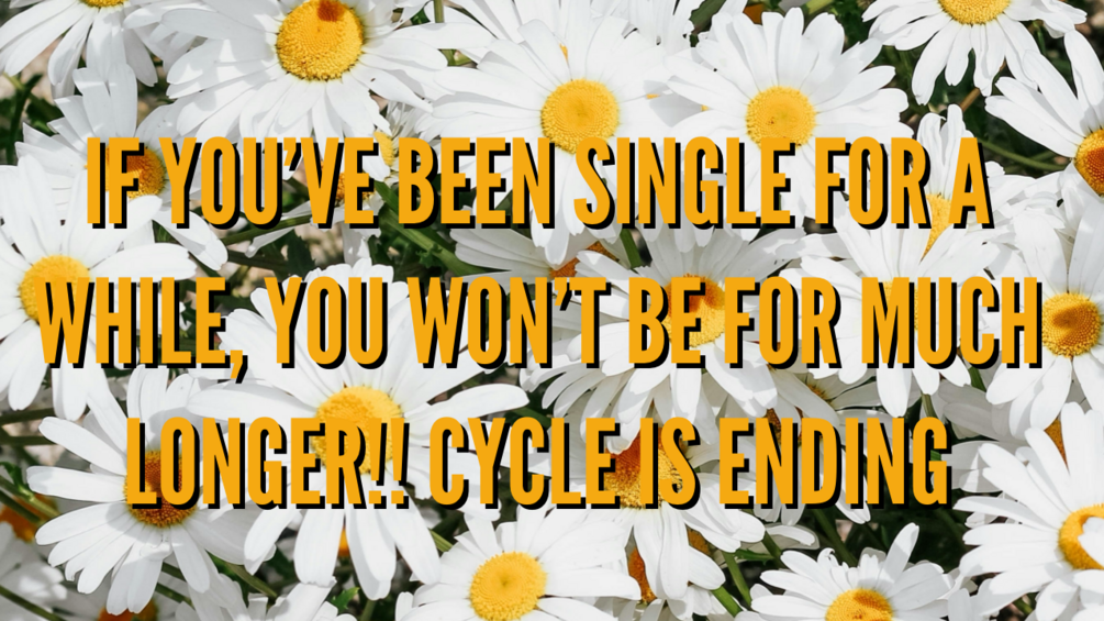 If you’ve been single for a while, you won’t be for much longer!! Cycle ...