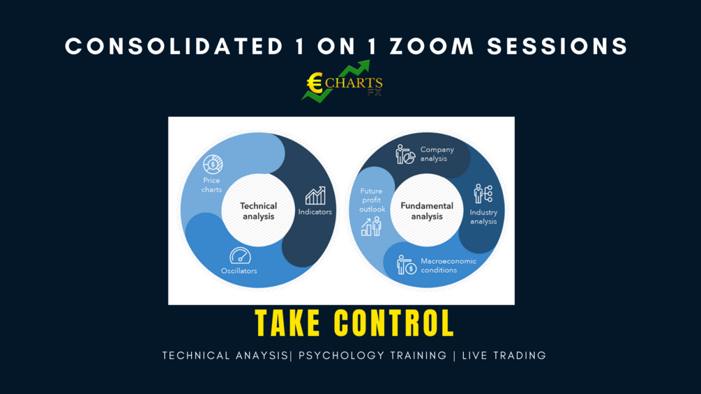 Consolidated 1 on 1 Zoom sessions