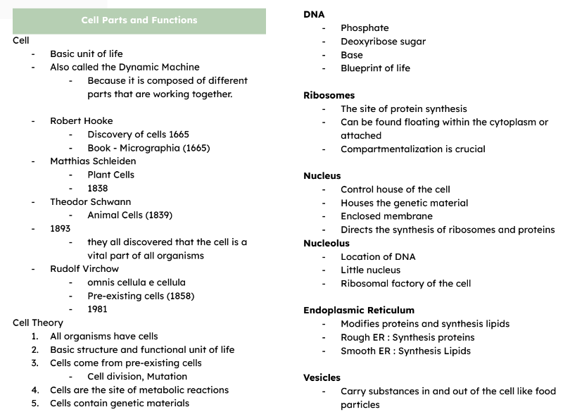 Cells - Cell Biology Notes/reviewers