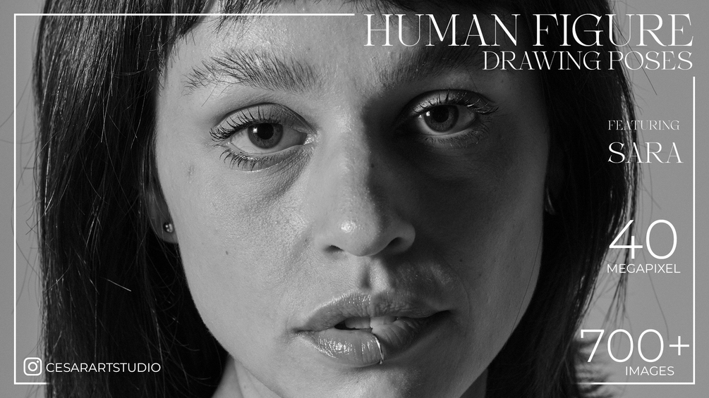 700+ Female Dynamic Poses Reference Pictures