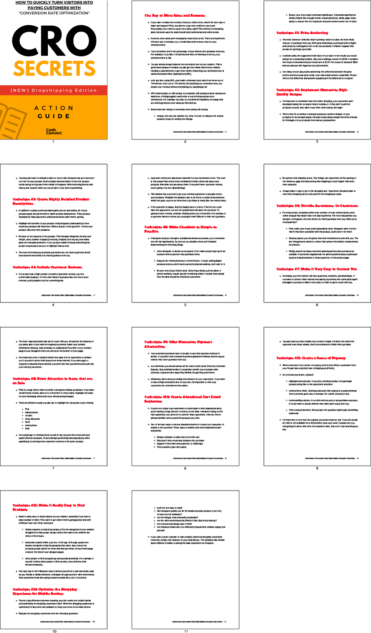 CRO SECRETS Bundle: Dropshipping