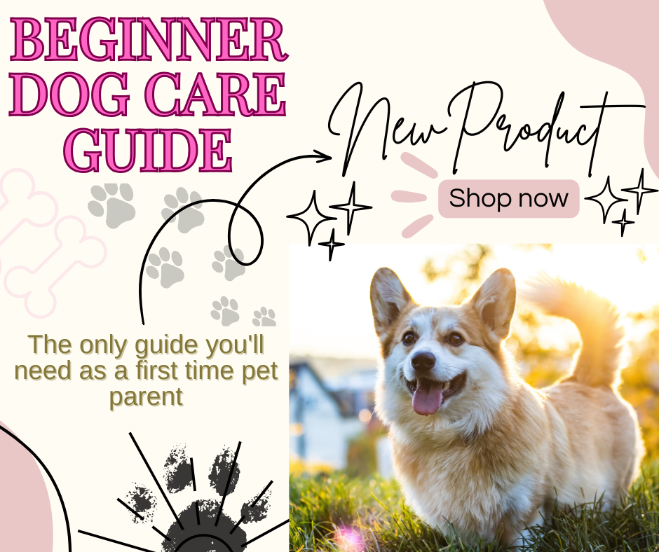 The Ultimate Beginner Dog Care guide