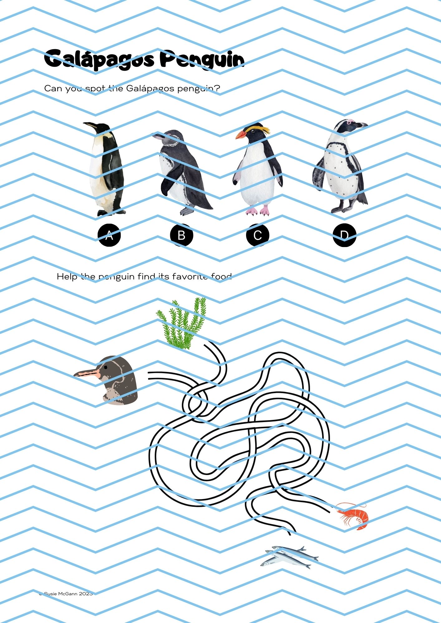 Galápagos Islands Activity Book for Kids