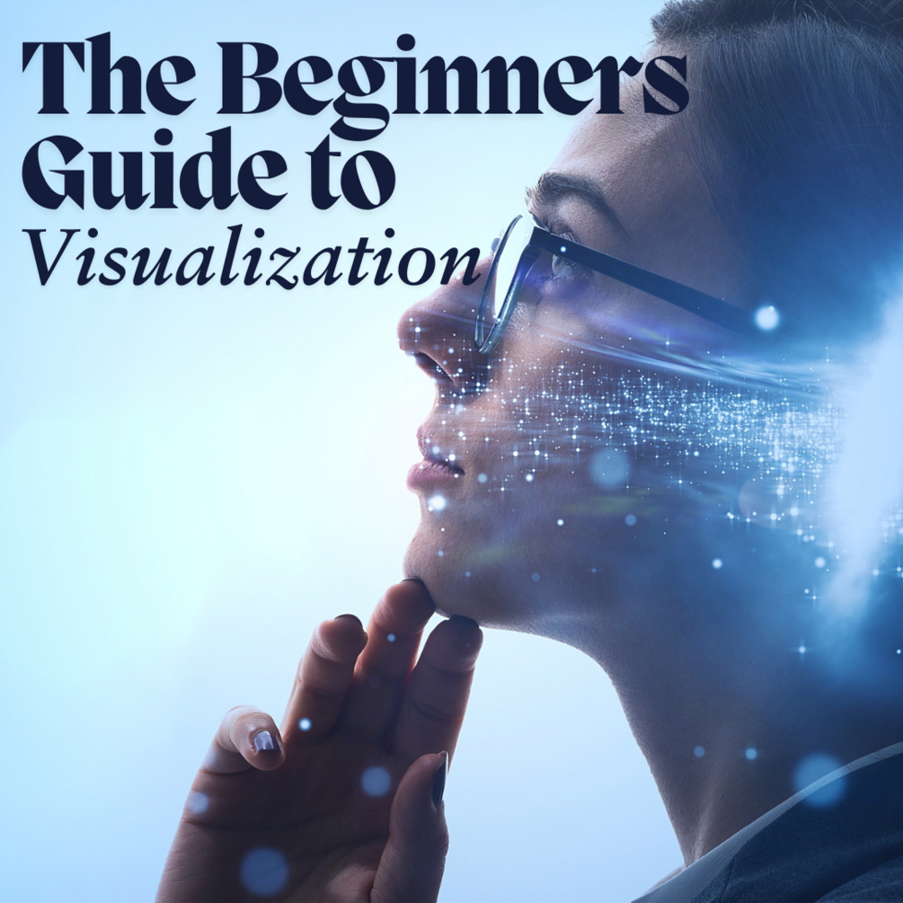 The Beginners Guide To Visualization - Self Paced Digital Course