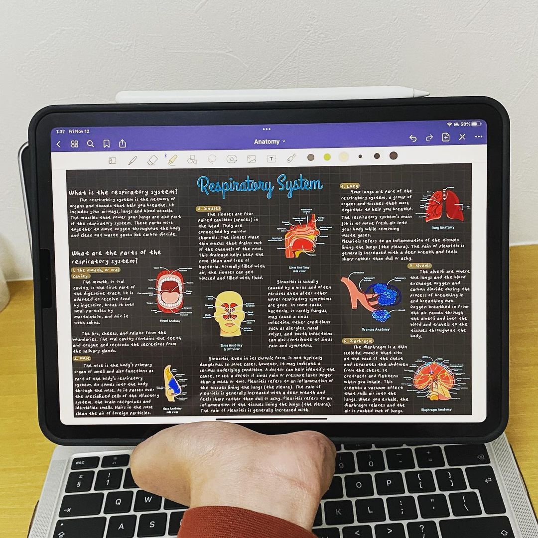 140 Human Anatomy Stickers Bundle for Digital Note-taking (GoodNotes ...