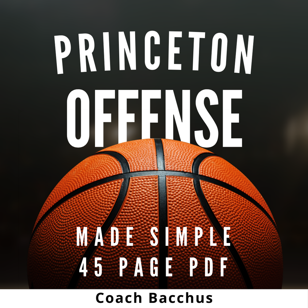 Princeton Made Simple (45 page PDF)