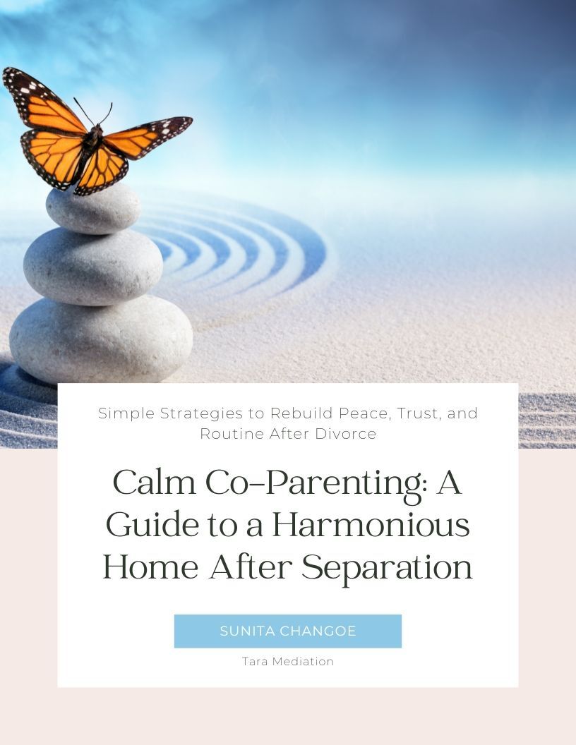 Calm Co-Parenting: A Guide to a Harmonious Home After Separation