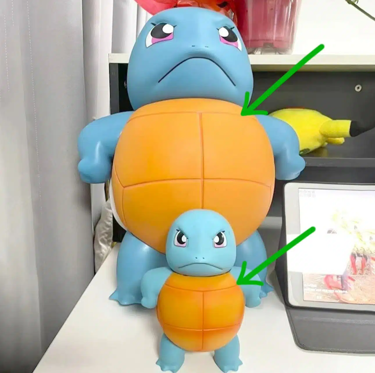 Turtle Squirtle