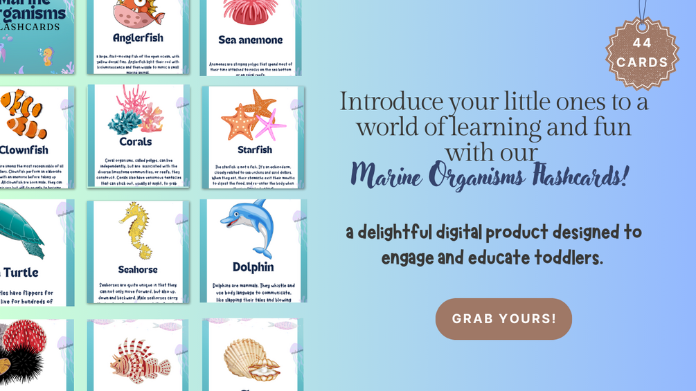 Marine Organisms Flashcards with Trivia