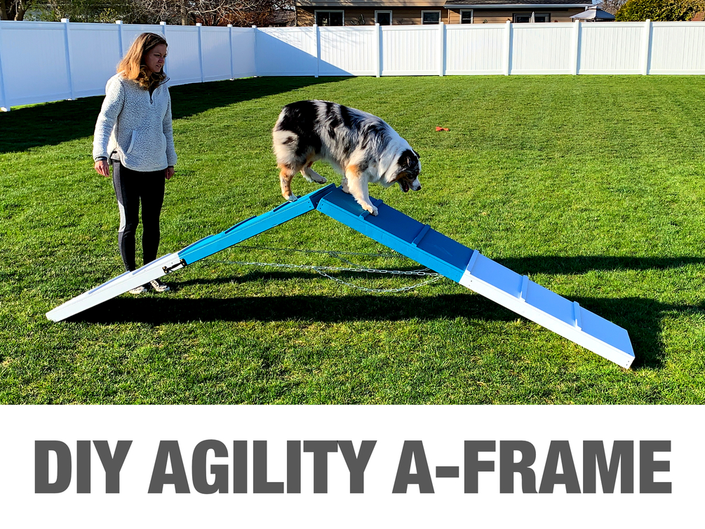DIY Agility A-Frame for Dogs - Build Plans