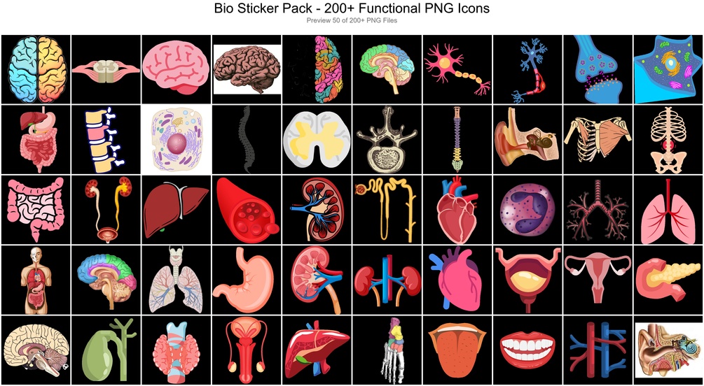 Bio Sticker Pack – 200+ PNG Icons for Digital Planners & Journals