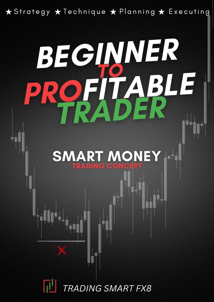 BEGINNER TO PROFITABLE TRADER