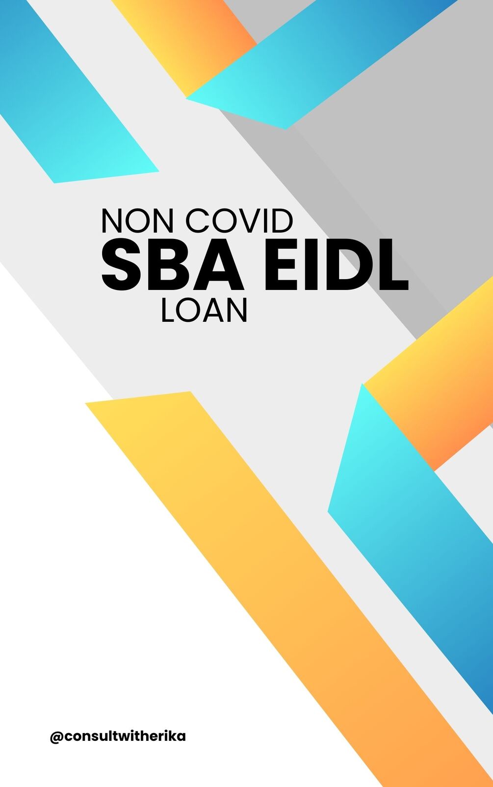 NON COVID SBA EIDL LOAN EBOOK