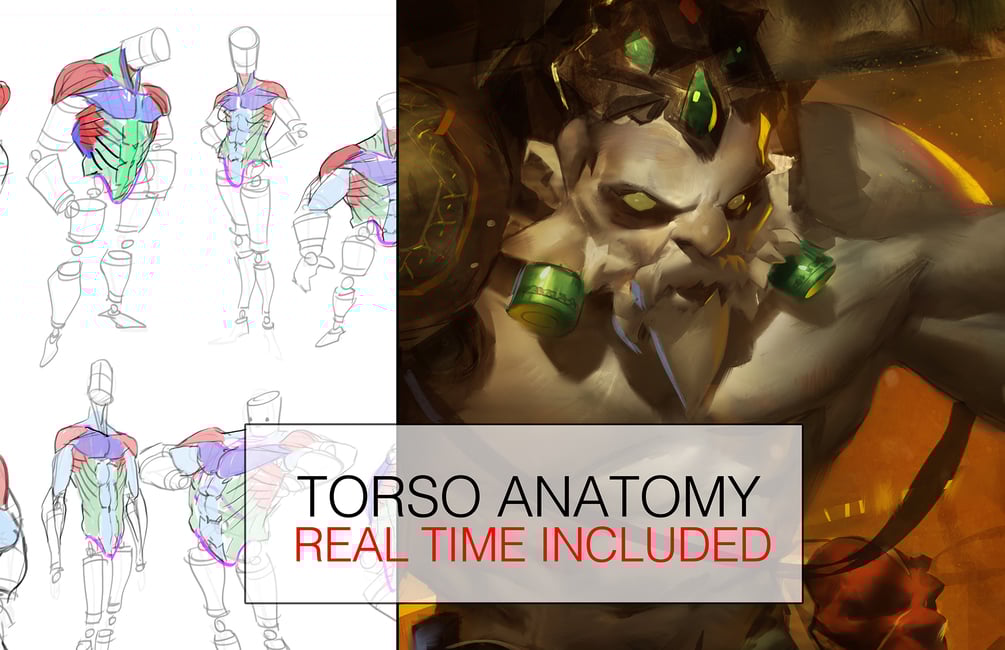 Torso Anatomy Lesson + Painting (Real Time Included!)