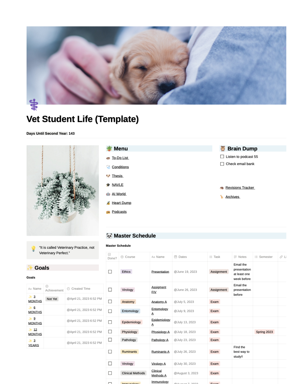 Notion Template for Vet Students