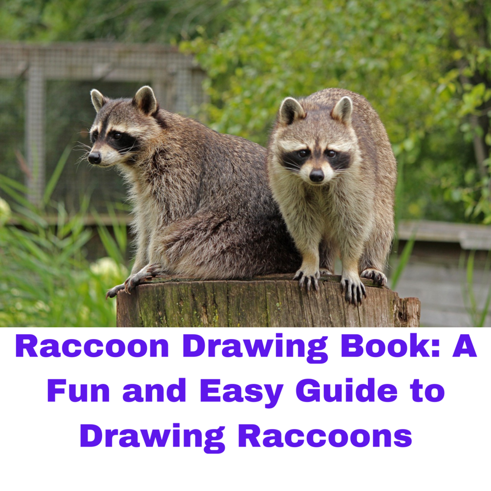 Raccoon Drawing Book: A Fun and Easy Guide to Drawing Raccoons
