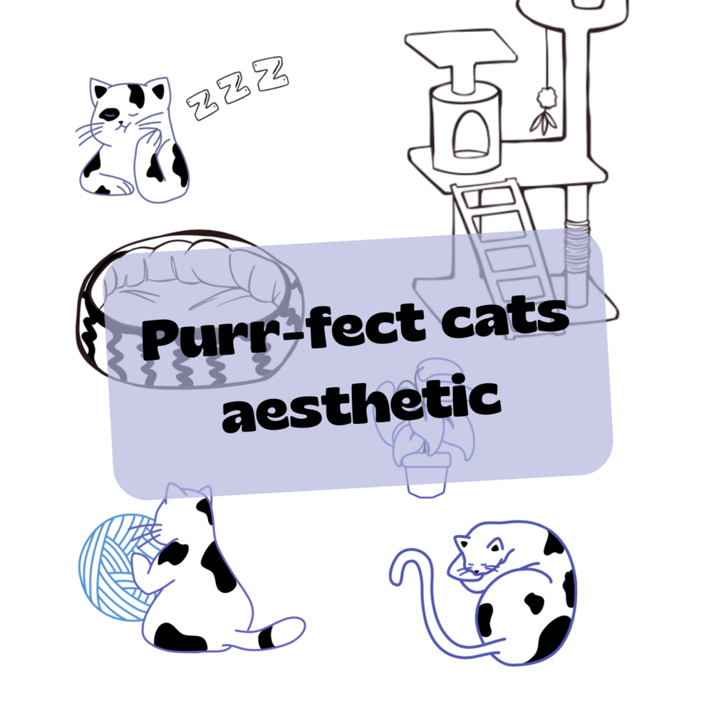 Purr-fect Cats coloring book
