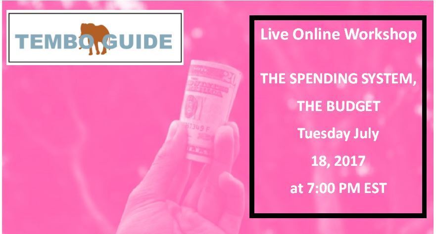 The Fun Spending System, the BUDGET: Live Workshop Online