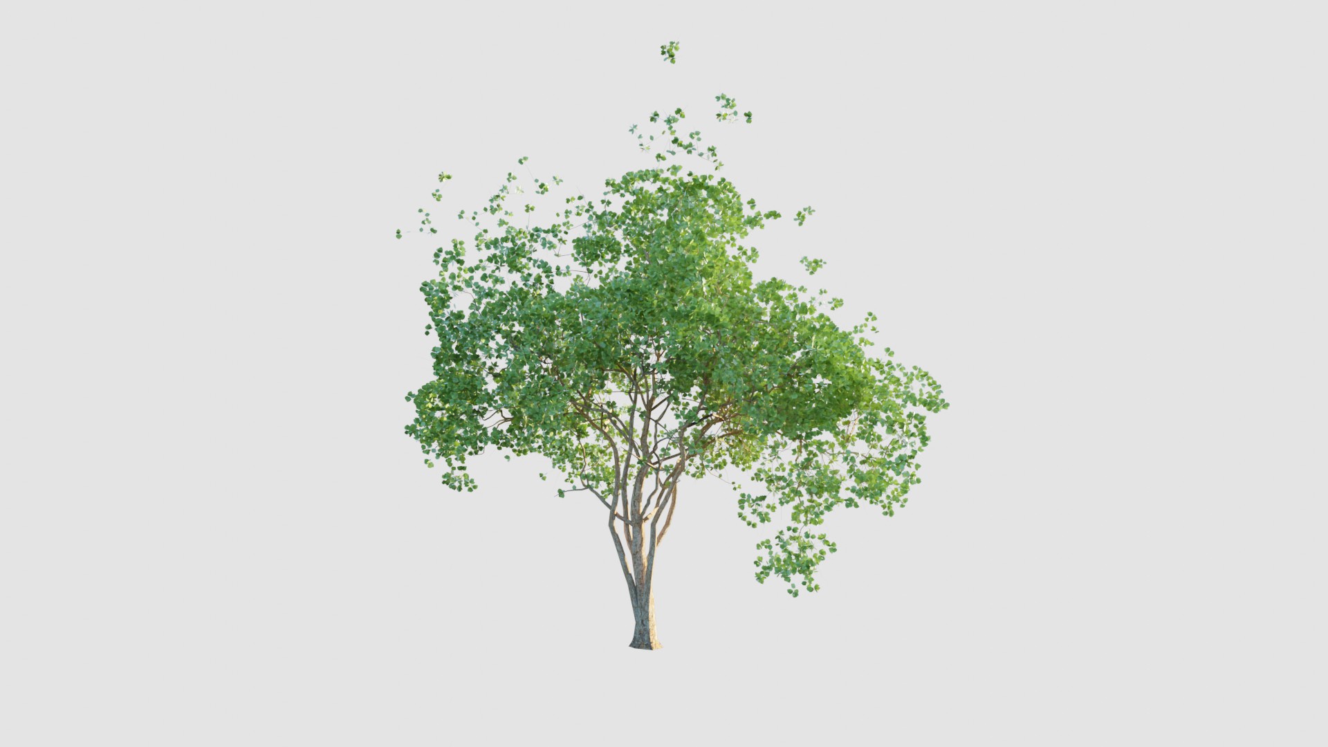 blender Quick Trees Addon