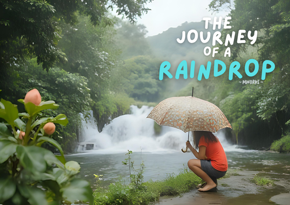 The Journey of a Raindrop