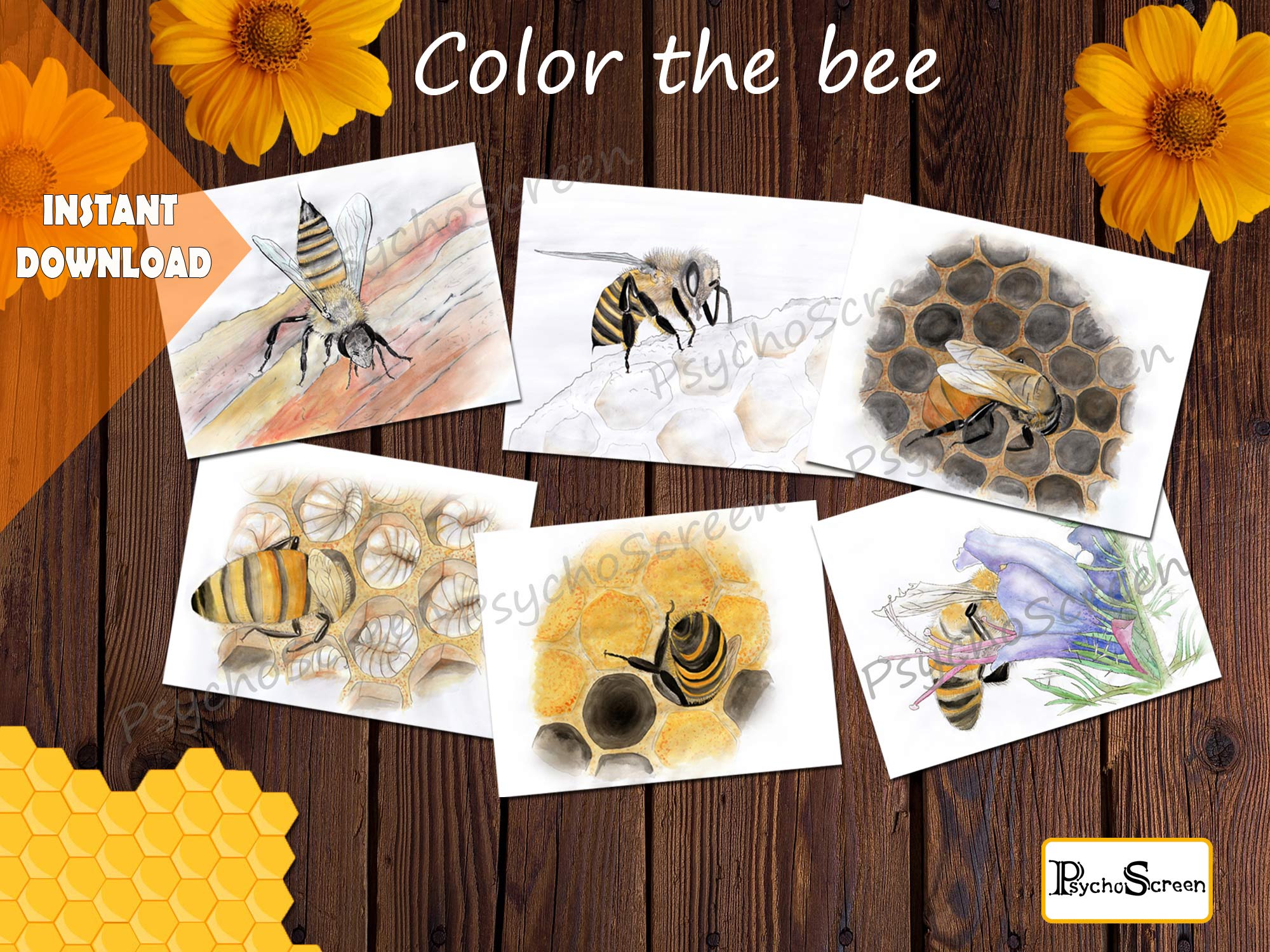 HONEY BEE Learning material, Printable set for coloring and learning ...