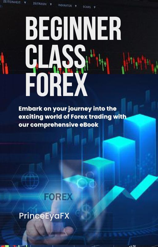 BEGINNER CLASS (FOREX)