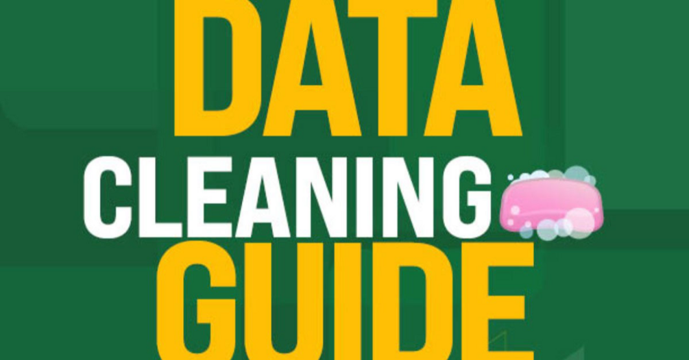 Data Cleaning Guide (Microsoft Excel)