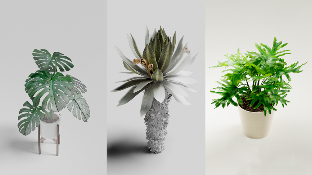 3d Nature Art Mastery Course.