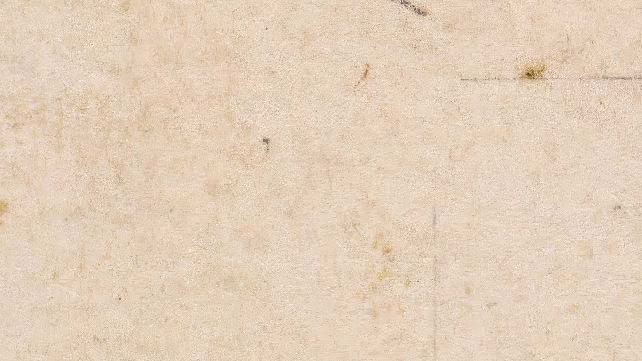 Growling Grass Frog, Litoria raniformis by Arthur Bartholomew