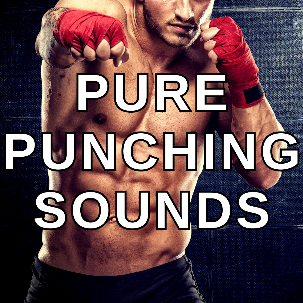 Massive Update! Punching Sounds, Whoosh and Impact Foley - Floraphonic