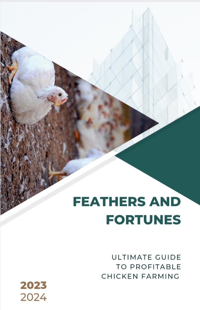 Feathers and Fortune