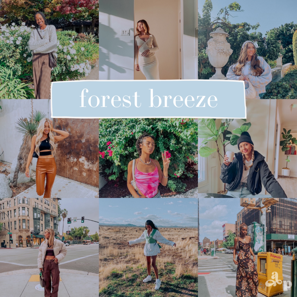 Forest Breeze Preset