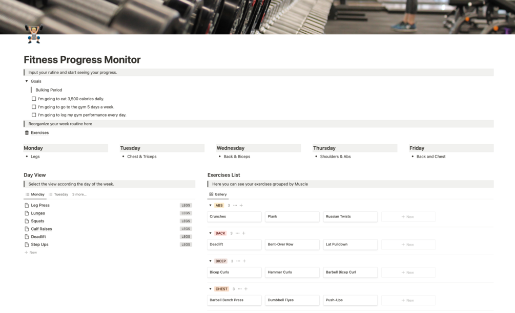 Fitness Progress Monitor - Notion Template