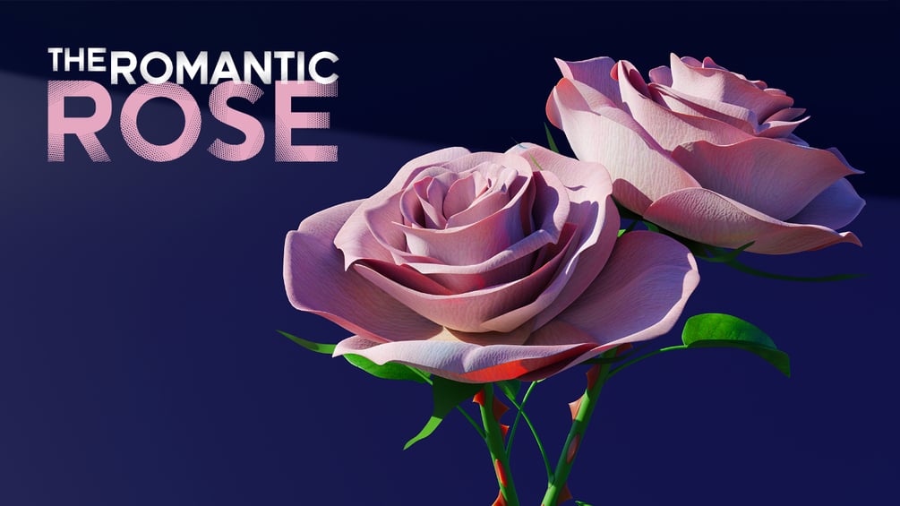 Romantic Rose for Blender