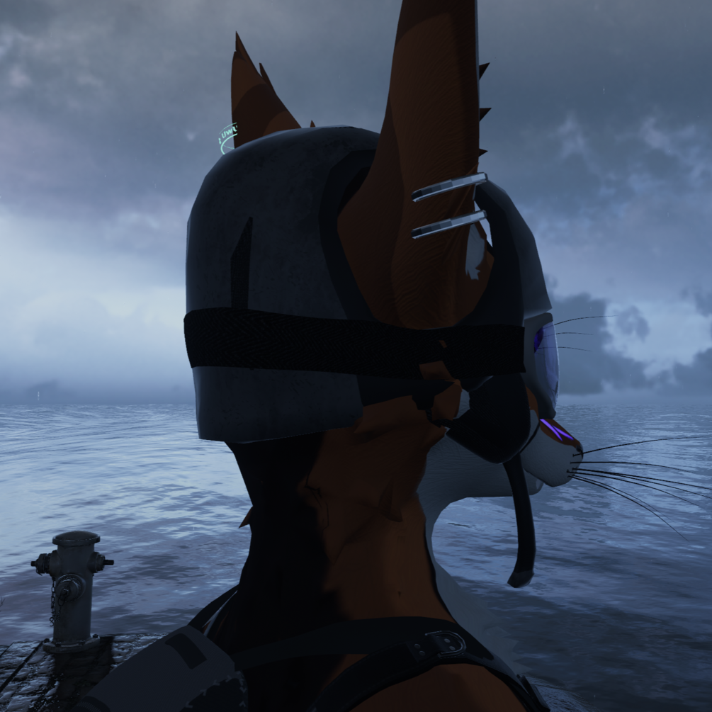 Ski Head gear Rexouium