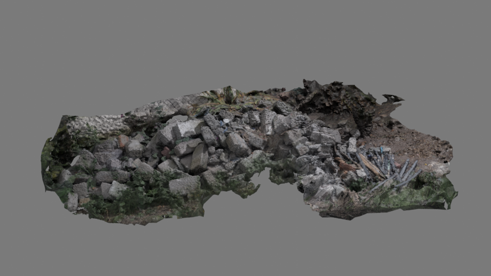 Fotoscaned and retopology debris