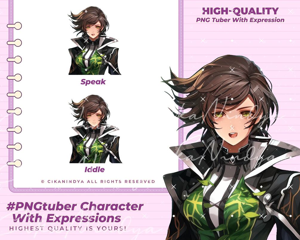 PNG Tuber | Stream Star PNG Tuber Character for Broadcasters | 2 ...