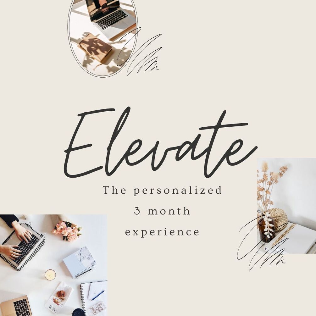 Elevate The 3 Month Experience