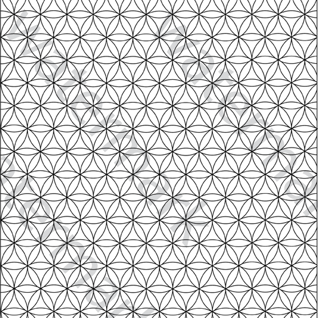 Flower of Life Full Page