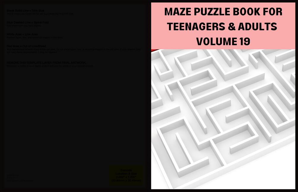MAZE PUZZLE BOOK FOR TEENAGERS AND ADULTS VOLUME 19