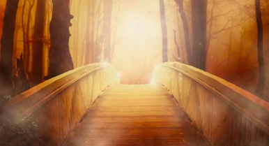 Twilight Essay: Still