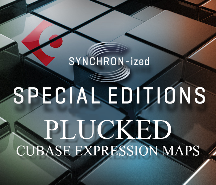 VSL SYN-ized SE Expression Maps - Plucked Instruments
